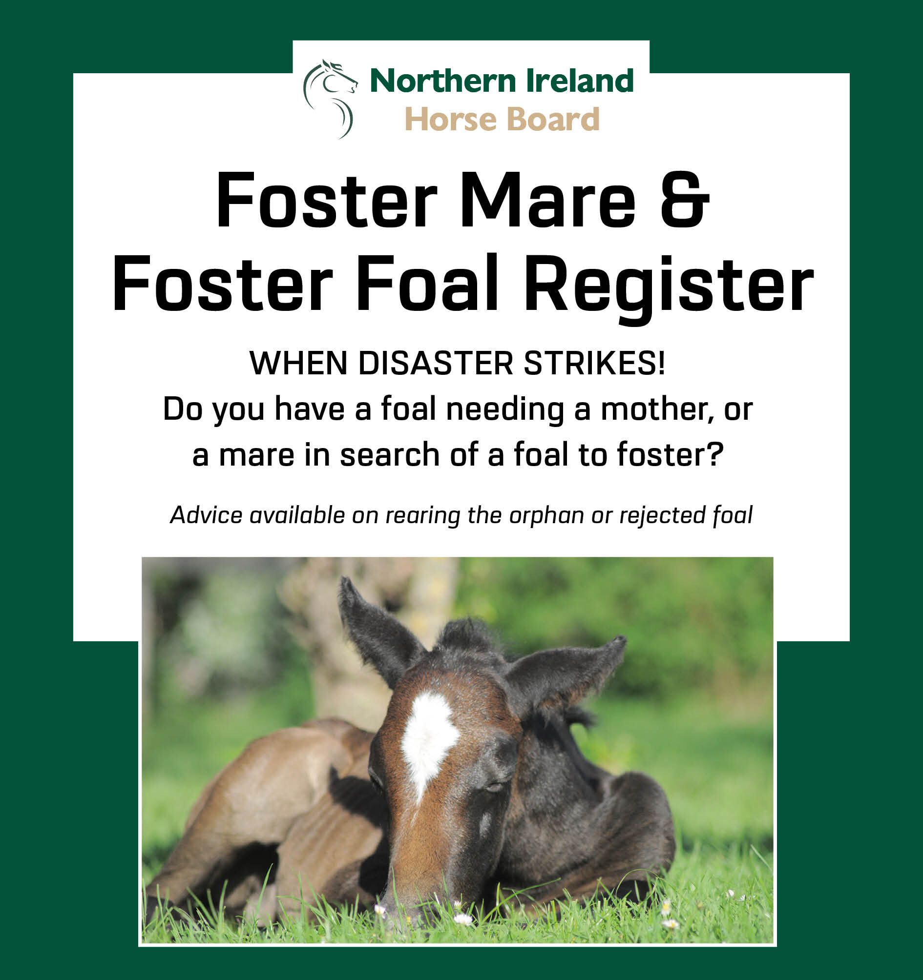 Foster/Orphan Alert - NIHB