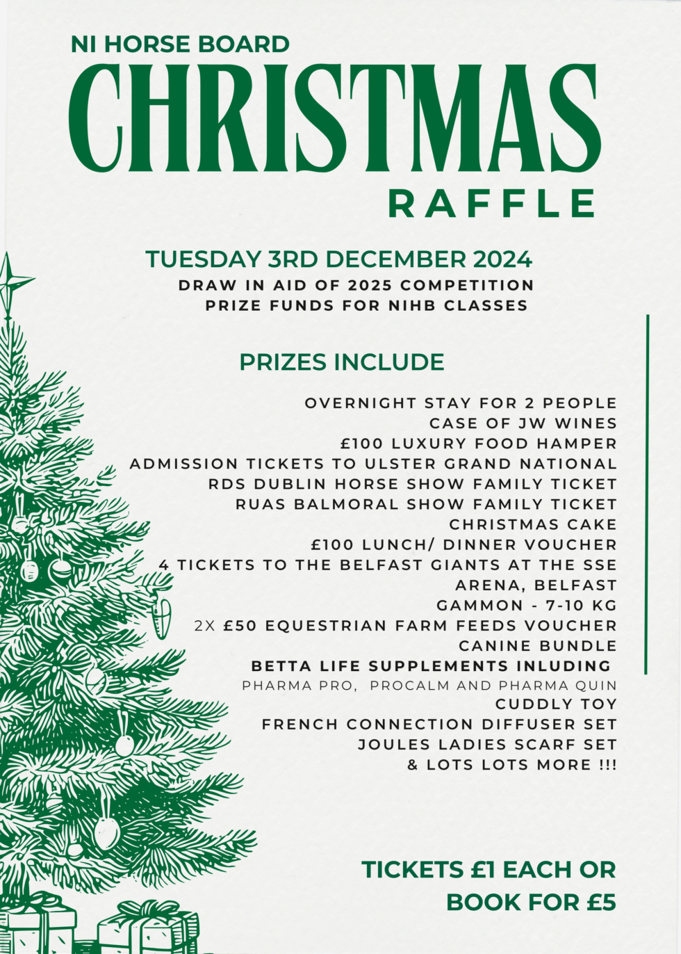 NIHB Launch 2024 Christmas Raffle - NIHB